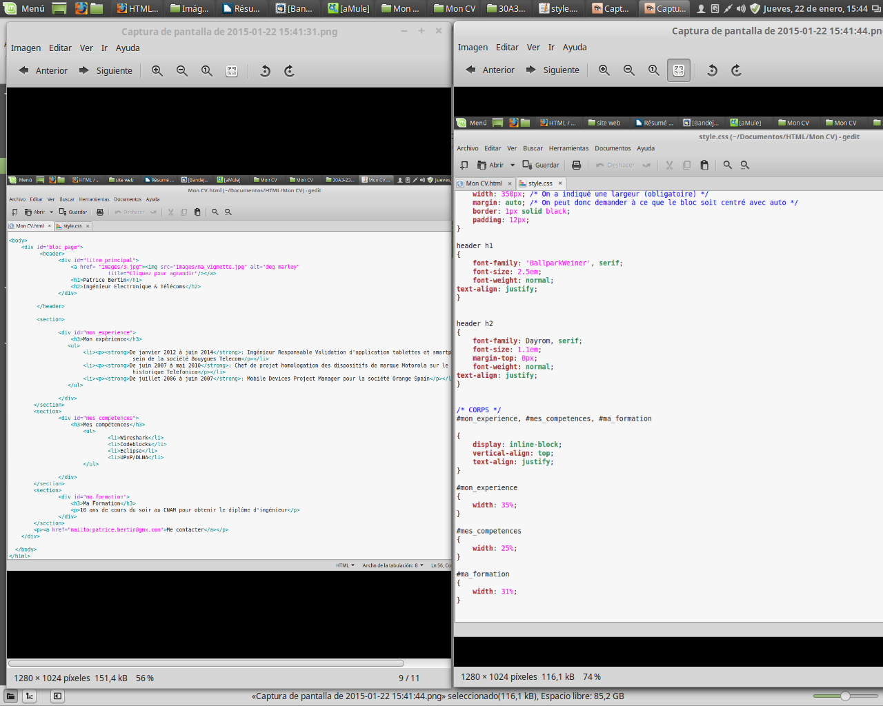 Exercice partie 3 organiser son CV (HTML5 - CSS3) - inline-block par patrice94120 - page 1 ...